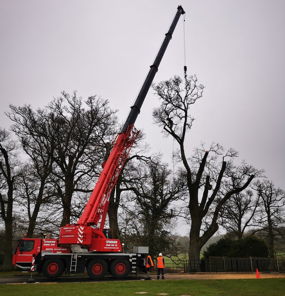 Sparrow Crane Hire at Longleat helps with damaged trees after storms