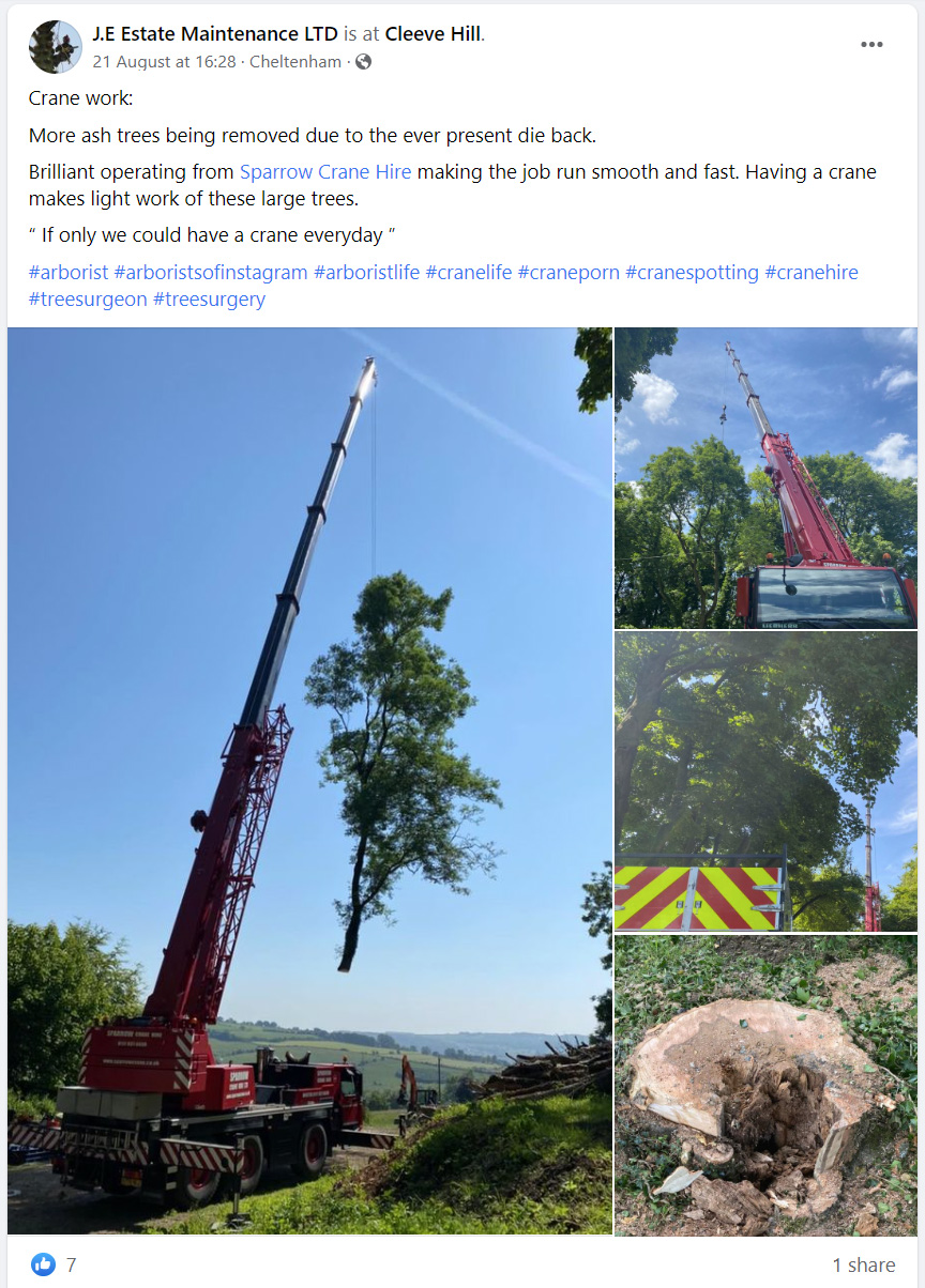 Crane tree removal in Cleeve Hill, Cheltenham
