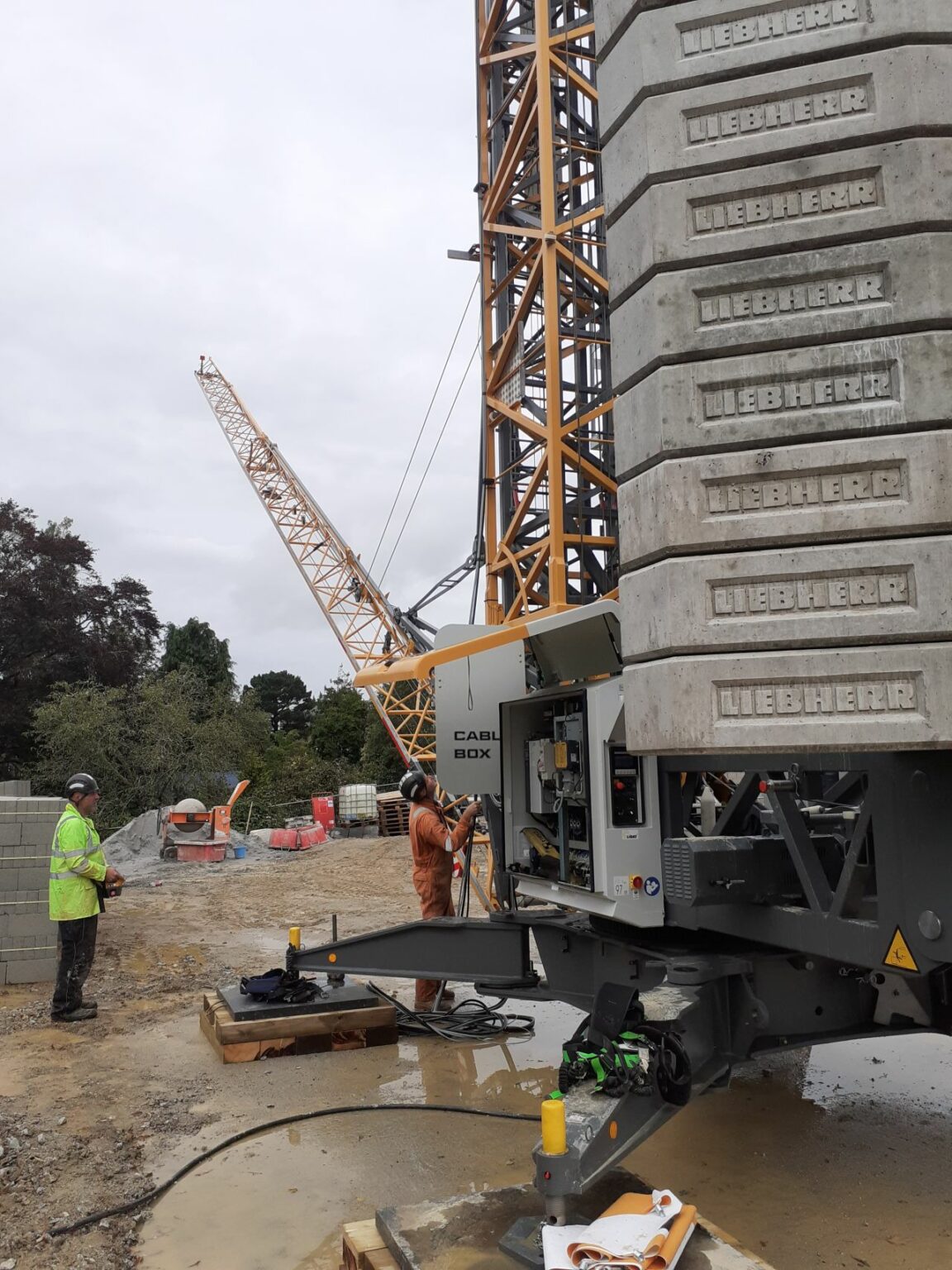 Impressed with the Liebherr 81.1k Self Erecting Tower Crane | Sparrow ...